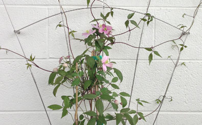 DesignRail® Classic Aluminum Modular Railing System